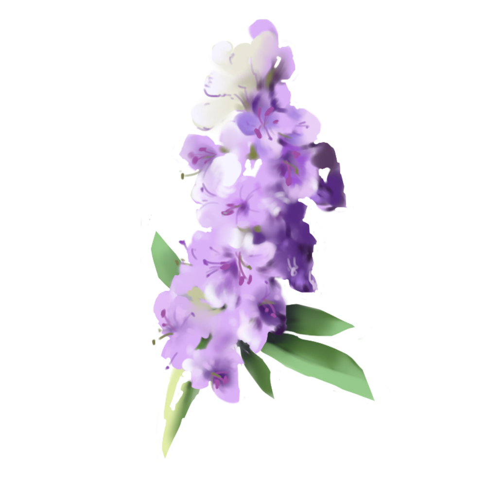 Vitex Agnus Castus Extract - NIANCE